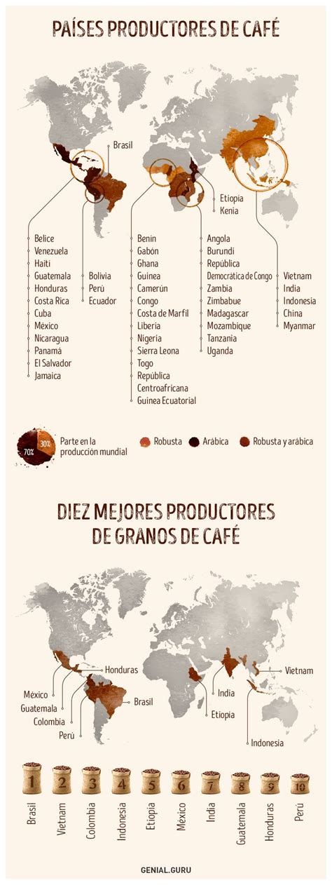 Países productores de café Coffee guide Coffee infographic Coffee world