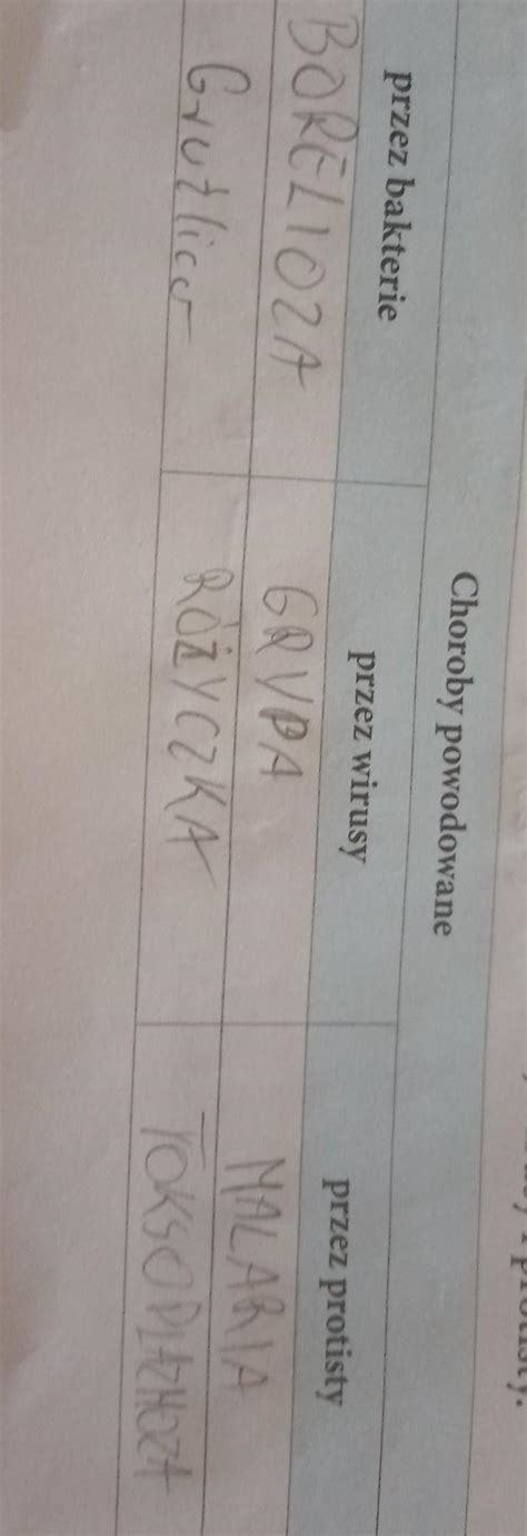 proszę o pomoc potrzebuje na wtorek 21 02 Brainly pl