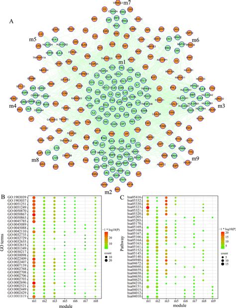 Construction Of PPI Network And Analysis Of Modules A Construction Of