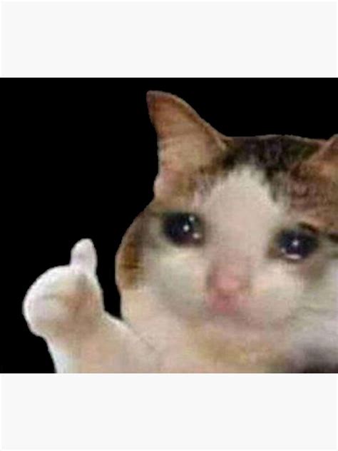 Triste Gato Llorando Con Pulgar Arriba Meme Gato Triste Png The Best