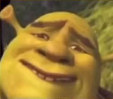 Hot Slay Shrek Shrek Funny Shrek Very Funny Pictures
