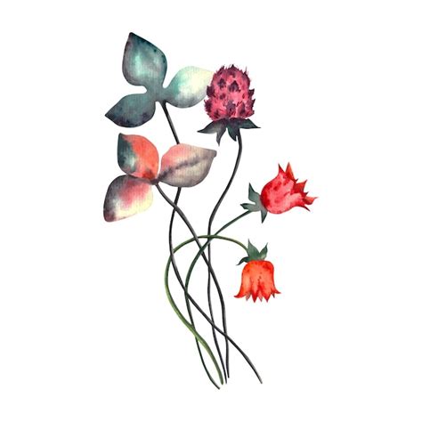 Premium Photo Flowers Watercolor Floral Set With Spring Flowers