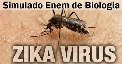 Zika Vírus e Microcefalia resumo de Biologia Enem simulado