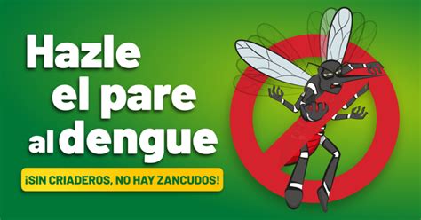 Conozca S Ntomas Del Dengue Y C Mo Evitarlo Undiario