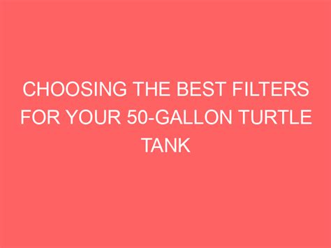 Choosing The Best Filters For Your Gallon Turtle Tank Turtle S Life