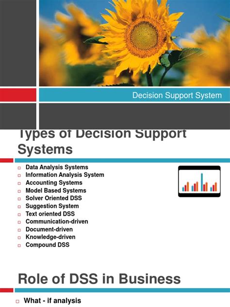 decision support system pdf decision support system ibm notes