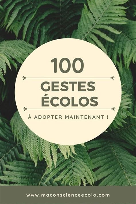 100 gestes écolos à adopter immédiatement Ma conscience écolo Vie