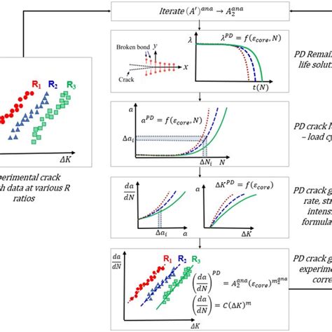 schematics of the first computation stage of peridynamic crack growth download scientific