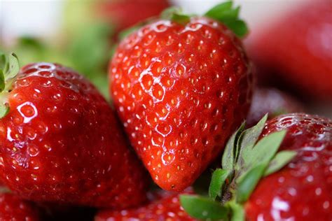 Belles Vari T S De Fraises Et Fraisiers Cultiver
