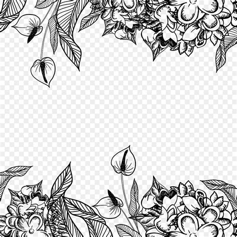 Borde Floral Negro Hoja Frontera PNG Negro Flor Borrador De Línea
