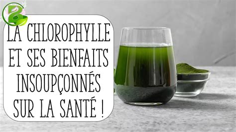 La Chlorophylle Et Ses Bienfaits Sur La Sant Youtube