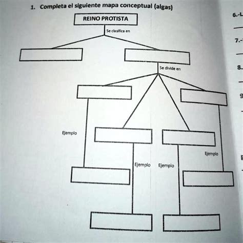 SOLVED El Reino Protista Se Clasifica En Completa El Siguiente Mapa