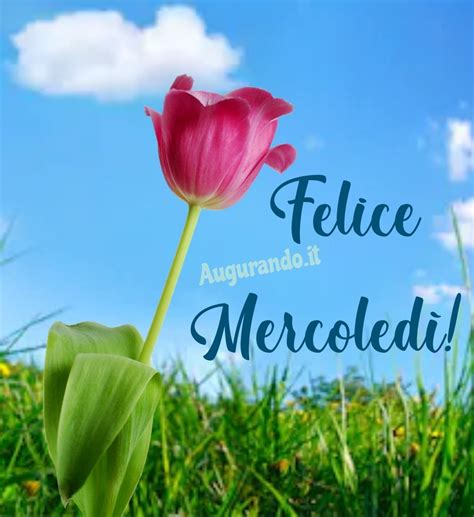 Buon Mercoledì con fantastiche immagini entra