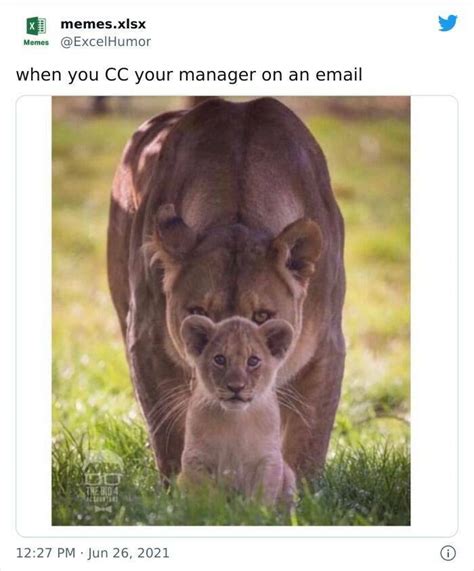 35 Hilarious Excel Humor Memes Barnorama