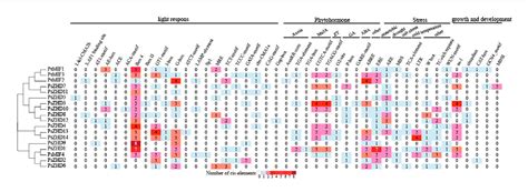 Table From Genome Wide Identi Cation And Expression Analysis Of The