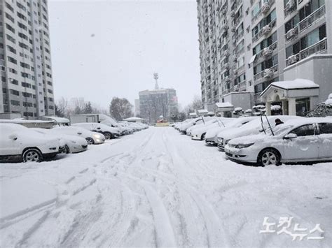 광주전남 14년 만의 폭설최대 적설량 40 네이트 뉴스