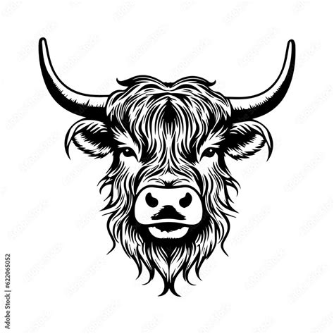 Highland Cow Svg Highland Cow Png Cow Head Svg Cow Svg Cute Cow Svg