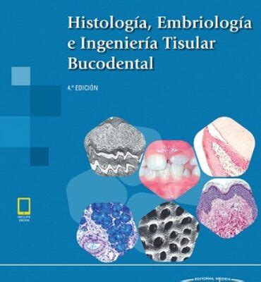 Histolog A Embriolog A E Ingenier A Tisular Bucodental A Edici N Pdf