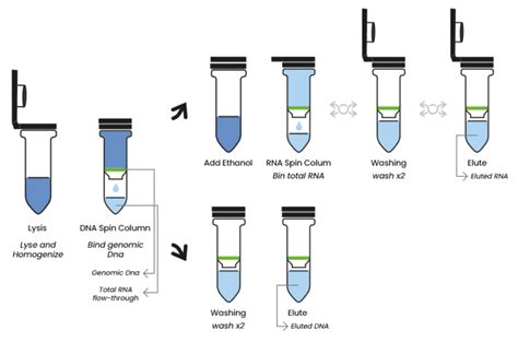 DNA RNA Purificación kit AP MEDICAL SUMINISTROS MÉDICOS AUXILIARES Y
