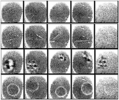 iasc free full text an automatic deep neural network model for fingerprint classification