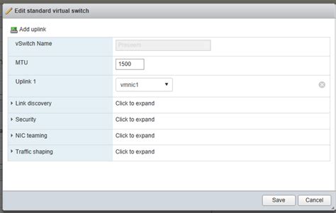 Bridging All Vlans Into Through A Vmware Esxi Vm Laptrinhx