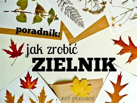 Zielnik Li Ci Drzew