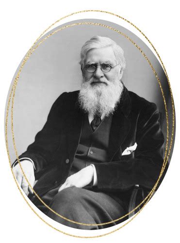 Alfred Wallace 1823 1913 Development Of The Theory Of Evolution
