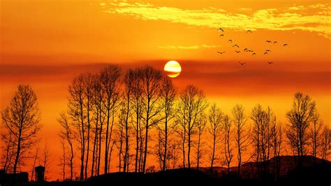 关于夕阳的唯美古诗描写夕阳落日的优美诗句 我爱育娃