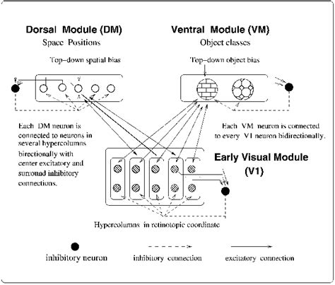 pdf the role of early visual cortex in visual integration a neural model of recurrent