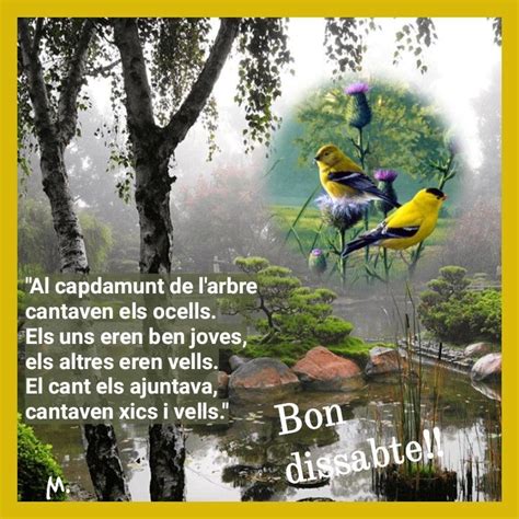 Pin de Palmira Flor Bresolí en Bon dia bona nit Fotos frases Editar