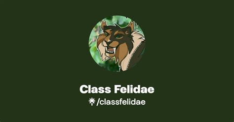 Class Felidae Twitter Instagram TikTok Linktree