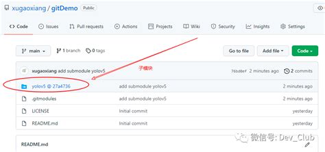 Git Submodule Csdn