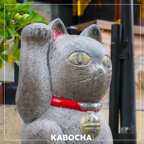 Kabocha Sushi Blog