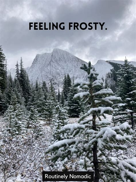 Funny Winter Quotes And Sayings