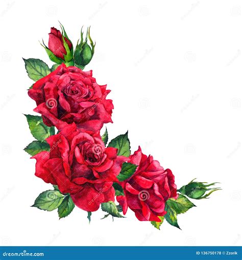 Rosas Rojas Composici N Floral De La Esquina Acuarela Para La
