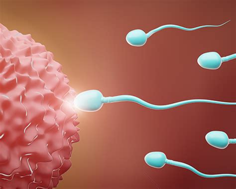 Low Sperm Count Causes Diagnosis Treatment Optimists Healthcare
