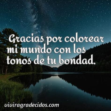 50 Frases De Agradecimiento Cortas Y Bonitas Vivir Agradecidos