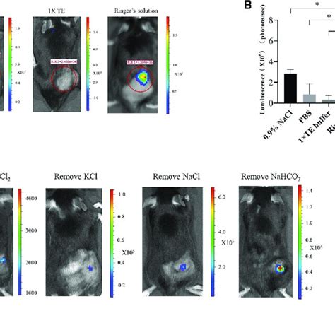 Optimization Of Cmrna Buffer For Intratumoral Delivery A