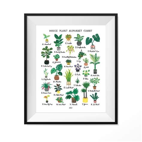 Cactus Succulent Alphabet Chart Art Print Etsy