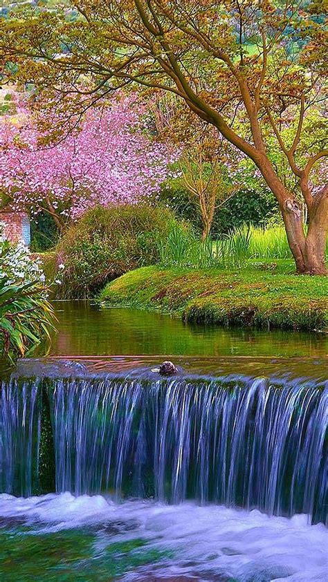 Spring Nature For Android Android Springtime Nature Hd Phone