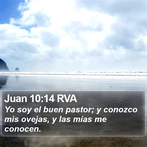 Juan 10 14 RVA Yo Soy El Buen Pastor Y Conozco Mis Ovejas Y