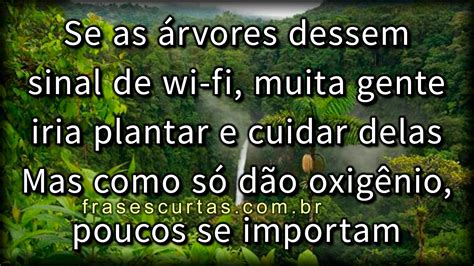 Frases Para Preservação Do Meio Ambiente LIBRAIN