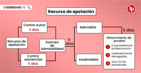 El recurso de apelación en el proceso penal Bien explicado LP