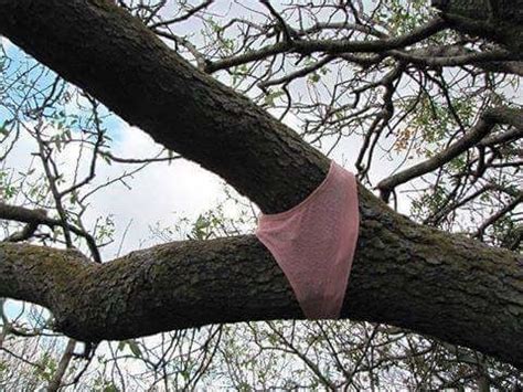 50 Fotos horribles que nunca te podrás sacar de la cabeza