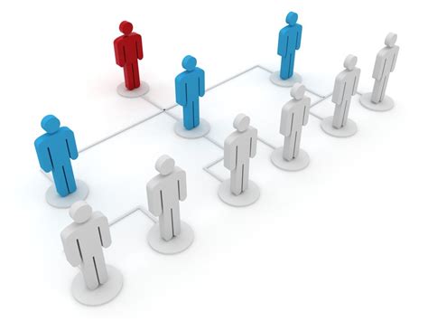 Estructura organizacional qué es y cómo crearla