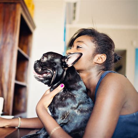 Elle Se Fait Violer Par Un Chien Chien Nouvelles