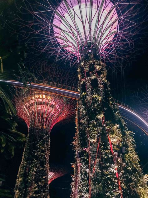 The 15 Most Instagrammable Spots In Singapore Artofit