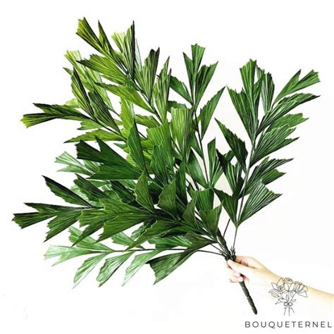 Arbre Artificiel De Jardin Bouqueternel