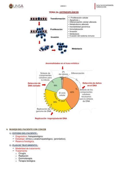 Antineoplásicos study enf uDocz