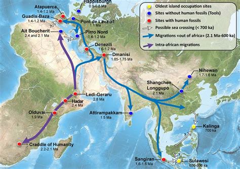 Homo Sapien Migration